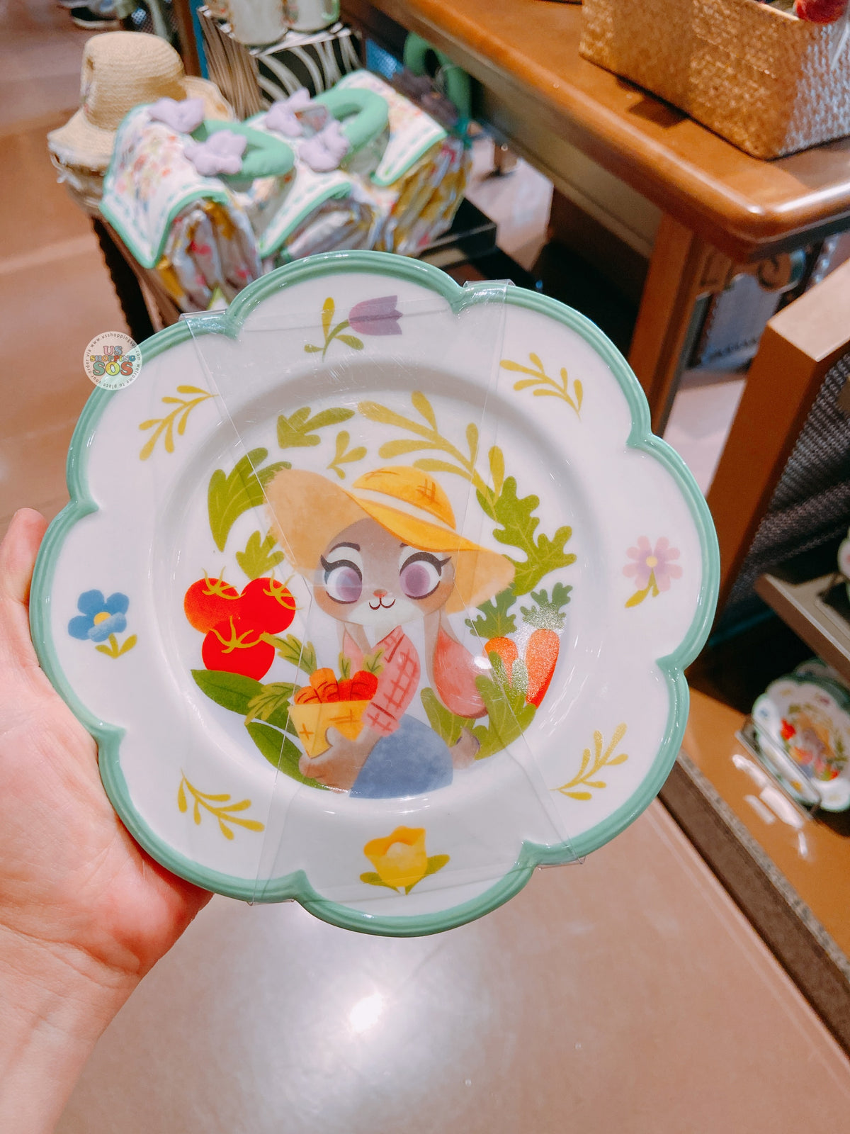 SHDL - Zootopia Springtime 2025 Collection x Plates Set — USShoppingSOS