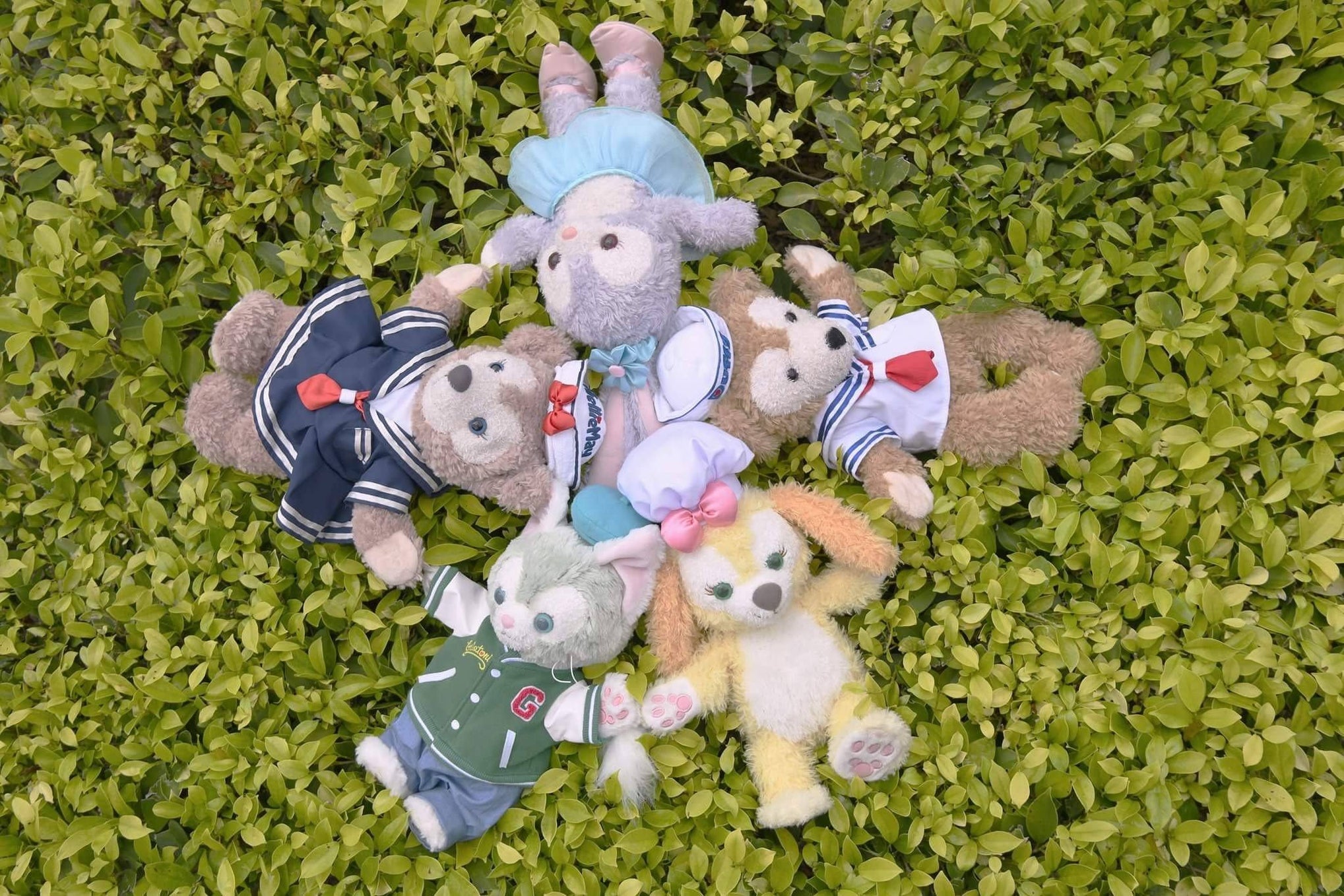 HKDL - Duffy & Friends Plush Toy x CookieAnn (Size S) — USShoppingSOS